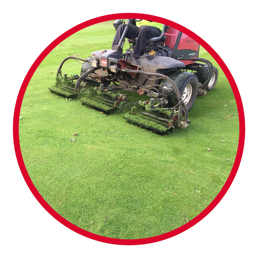 Sports Metals Fairway Mowers Extracut Brush | Reesink Turfcare