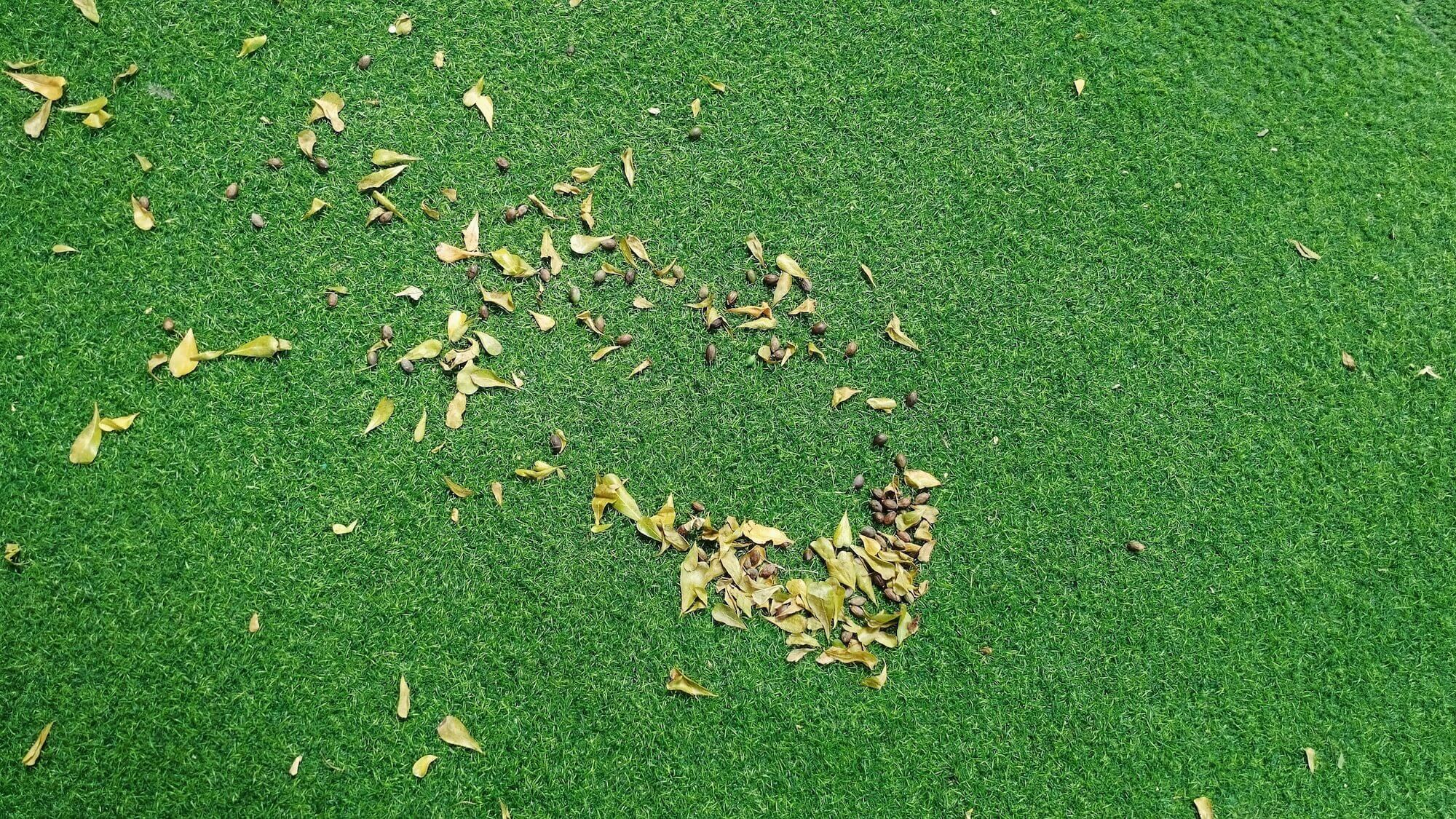 Turf debris management for golf courses and sports fields | Reesink ...